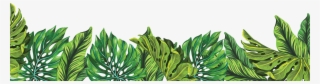 Become - Tree PNG Image | Transparent PNG Free Download on SeekPNG
