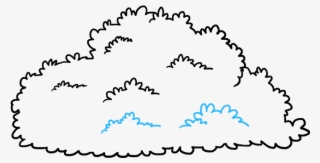 How To Draw Bush - Easy To Draw Bush PNG Image | Transparent PNG Free ...