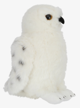 Snowy Owl PNG Image | Transparent PNG Free Download on SeekPNG