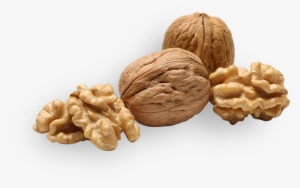 Walnuts Png Picture - Walnuts Transparent Background PNG Image ...