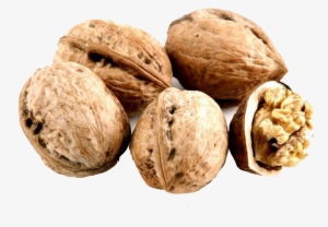 Walnut PNG Image | Transparent PNG Free Download on SeekPNG