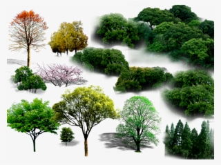 Tree Png File Hd - Trees Landscape Psd PNG Image | Transparent PNG Free ...